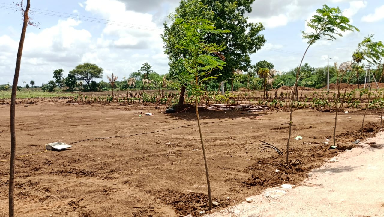 RRR Riverside - Real Layouts